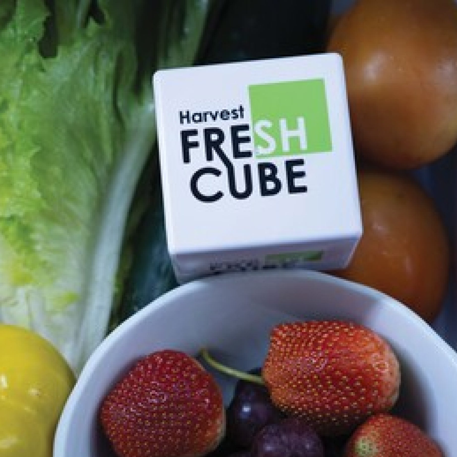 Harvest Fresh Cube - 2 Pack