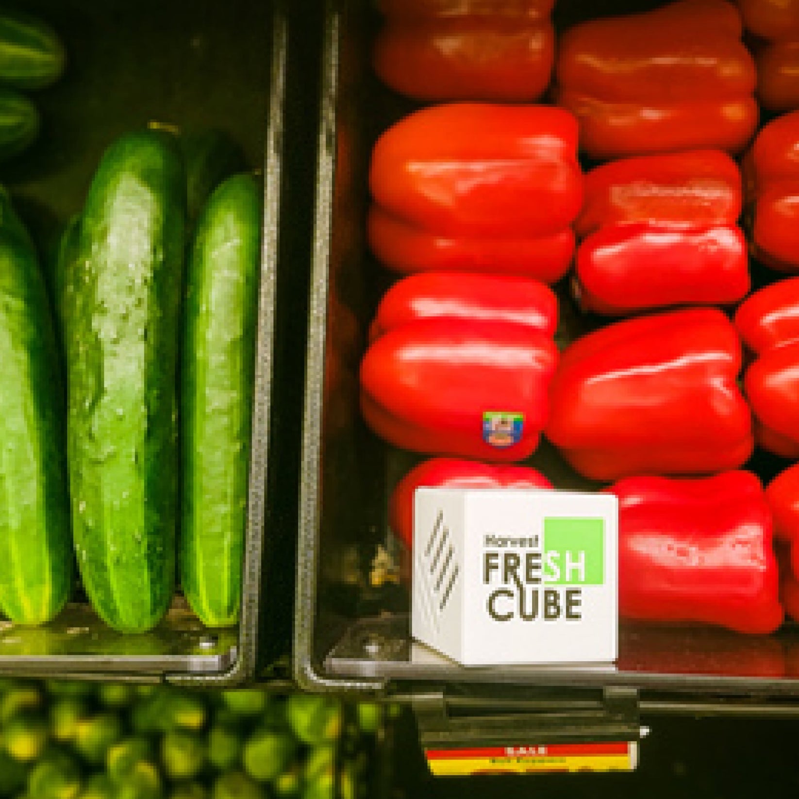 Harvest Fresh Cube - 2 Pack